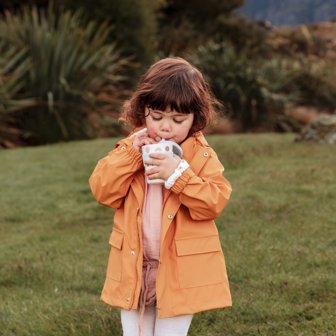 How to reduce exposure to microplastics – The LittleOak Company AU